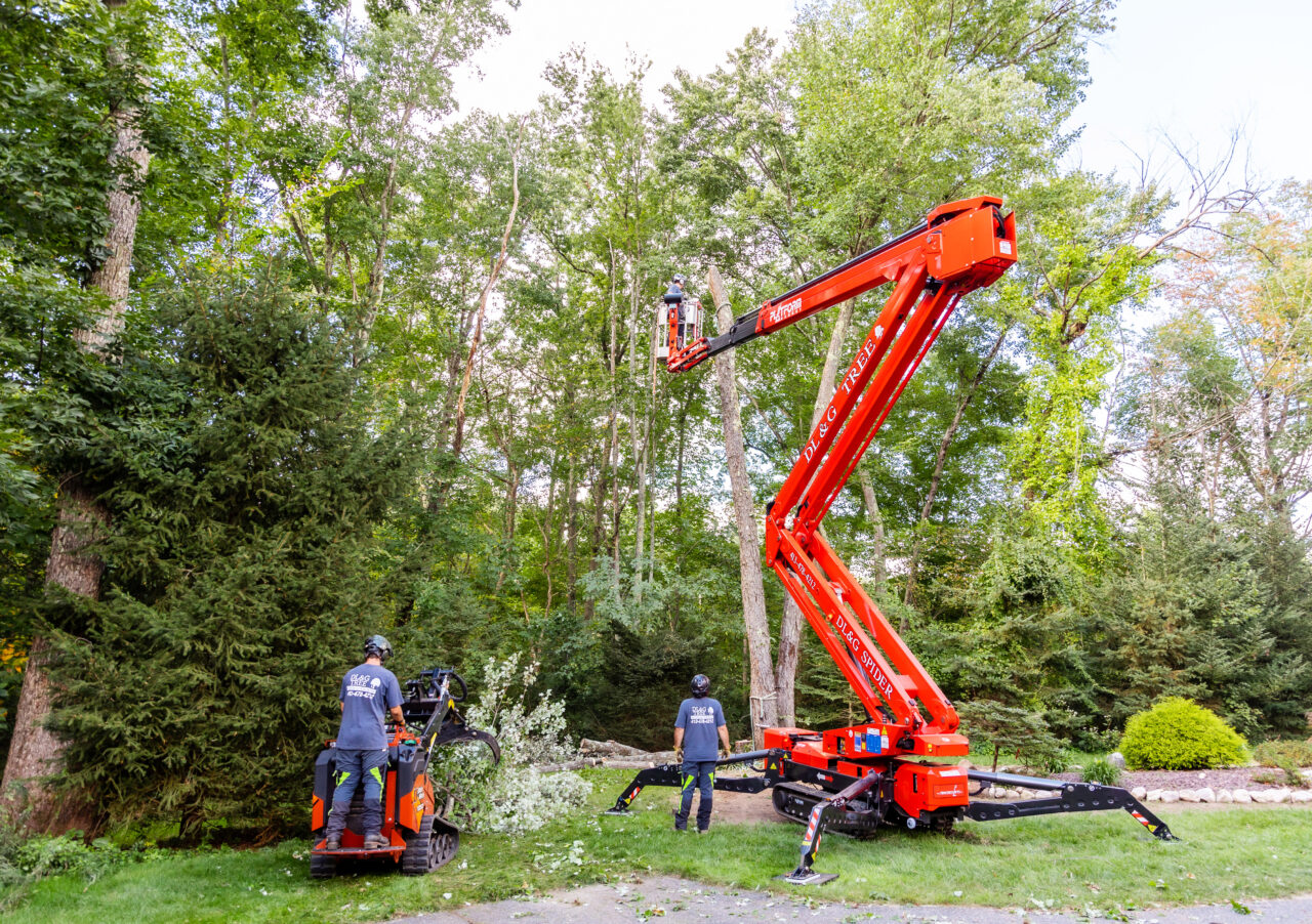 Home - DL&G Tree Service