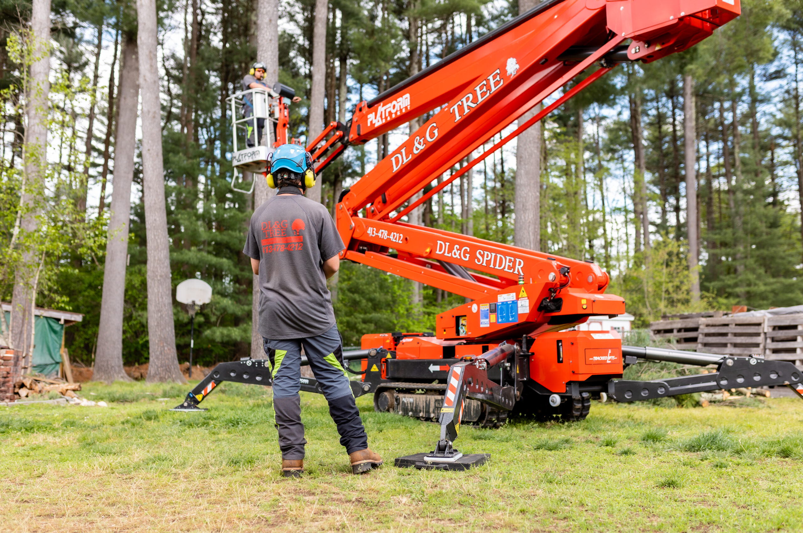 Home - DL&G Tree Service